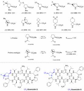 Research – Mykhailiuk Research Site